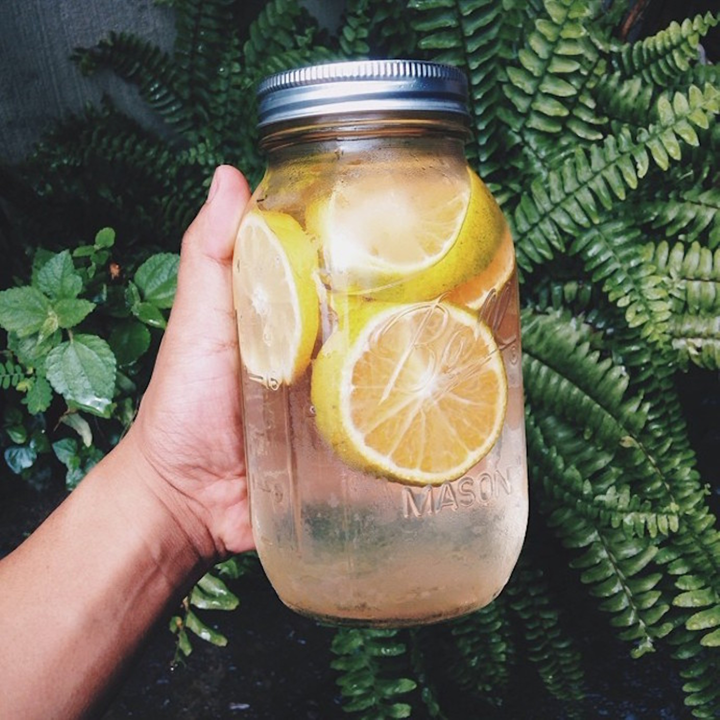 Infused Water: Manfaat Potongan Buah di Dalam Botol