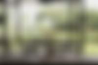 Beer Garden - SCBD | Discover more about Beer Garden | Qraved