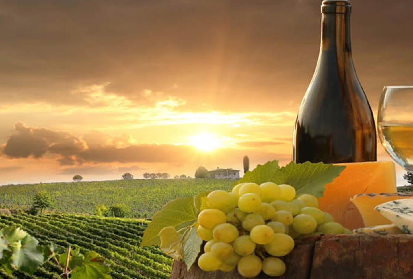 Wine Story: Dari Sejarah Sampai Produksi Wine Lokal